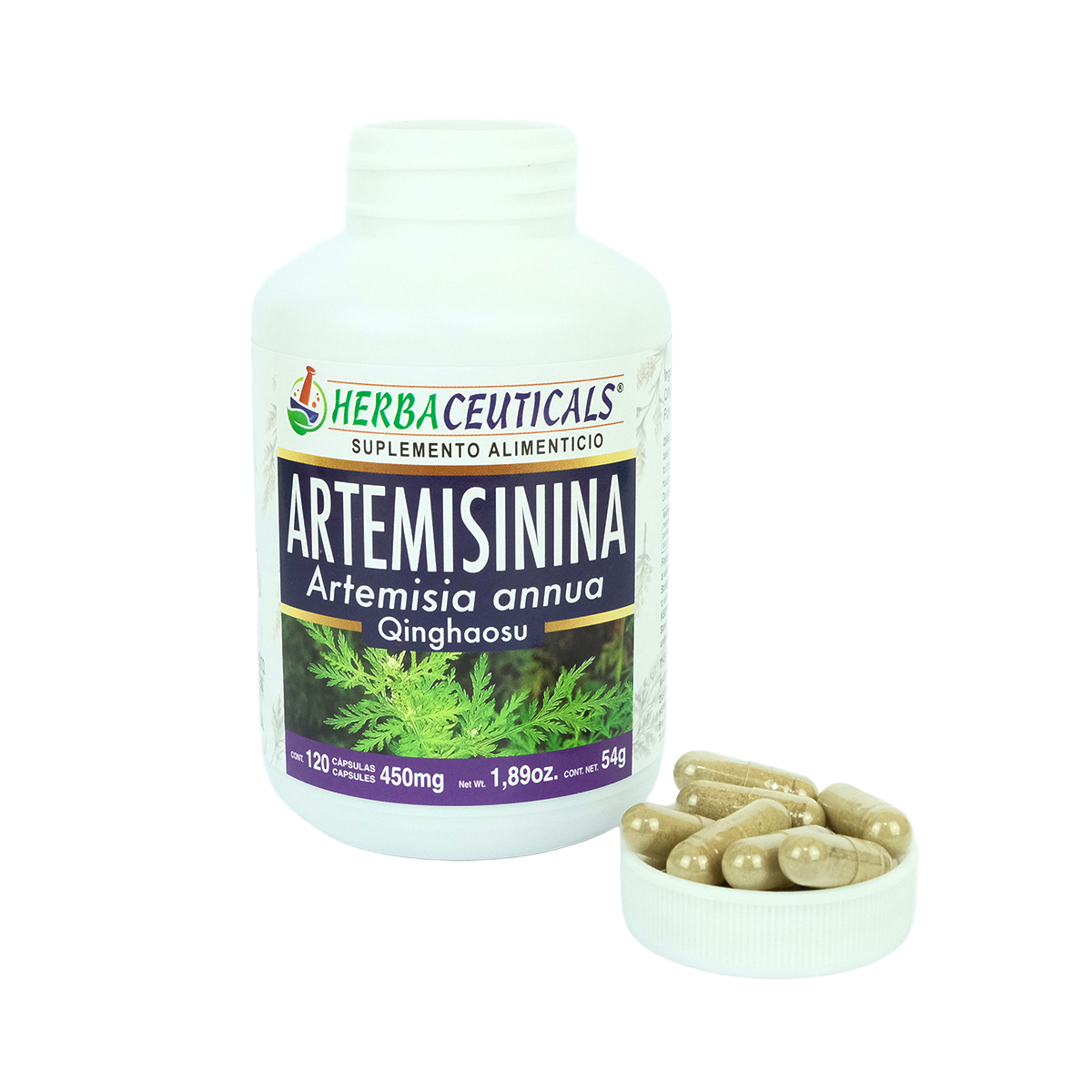 Artemisia annua Qinghaosu 120 Cáps 450mg Herba Ceuticals