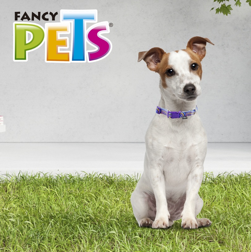 COLLAR CH AQUA POP P/PERRO GALERIA - FANCY PETS