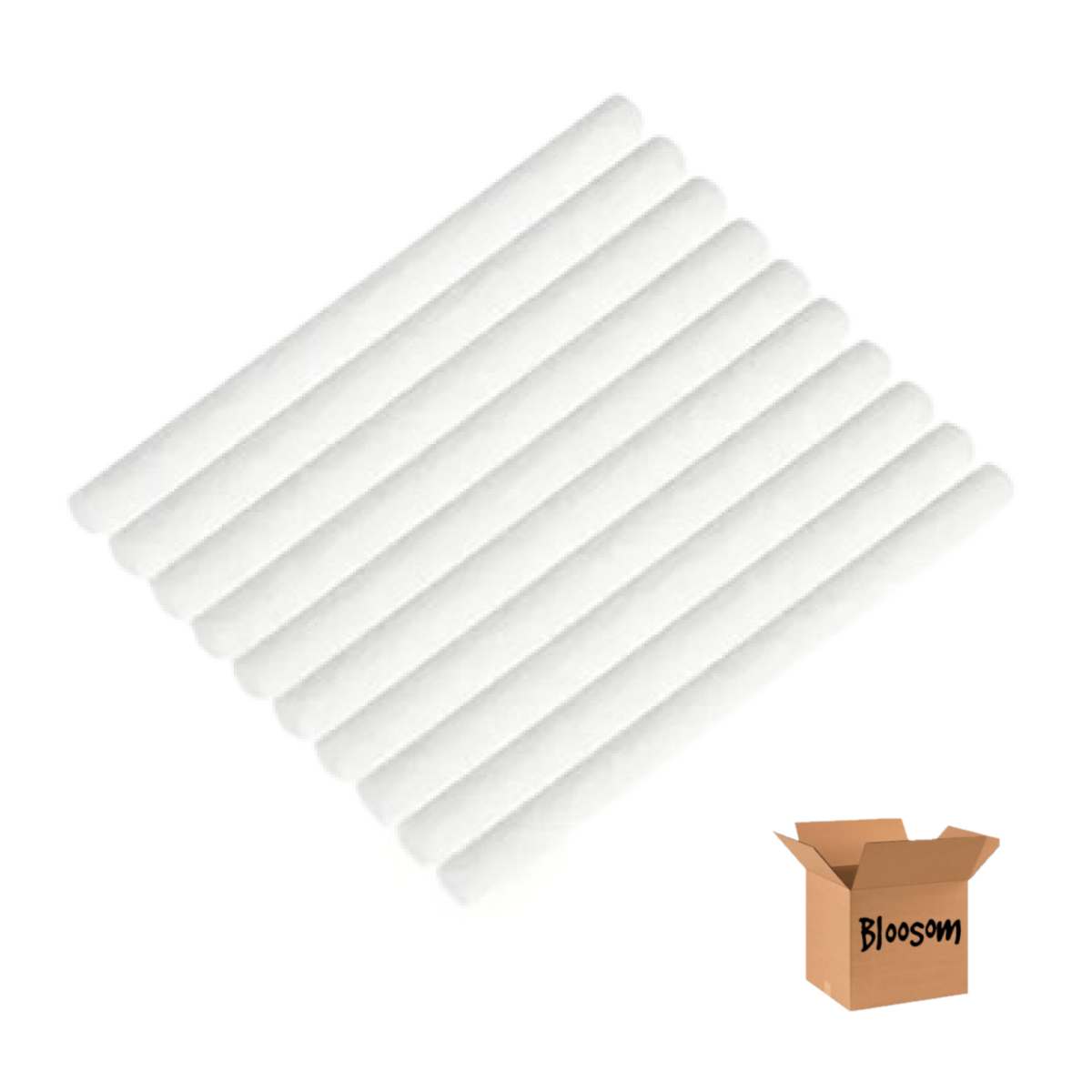 Kit Repuesto Filtros Para Humidificador, Difusor, 11cmx8mm 10pzs Blanco