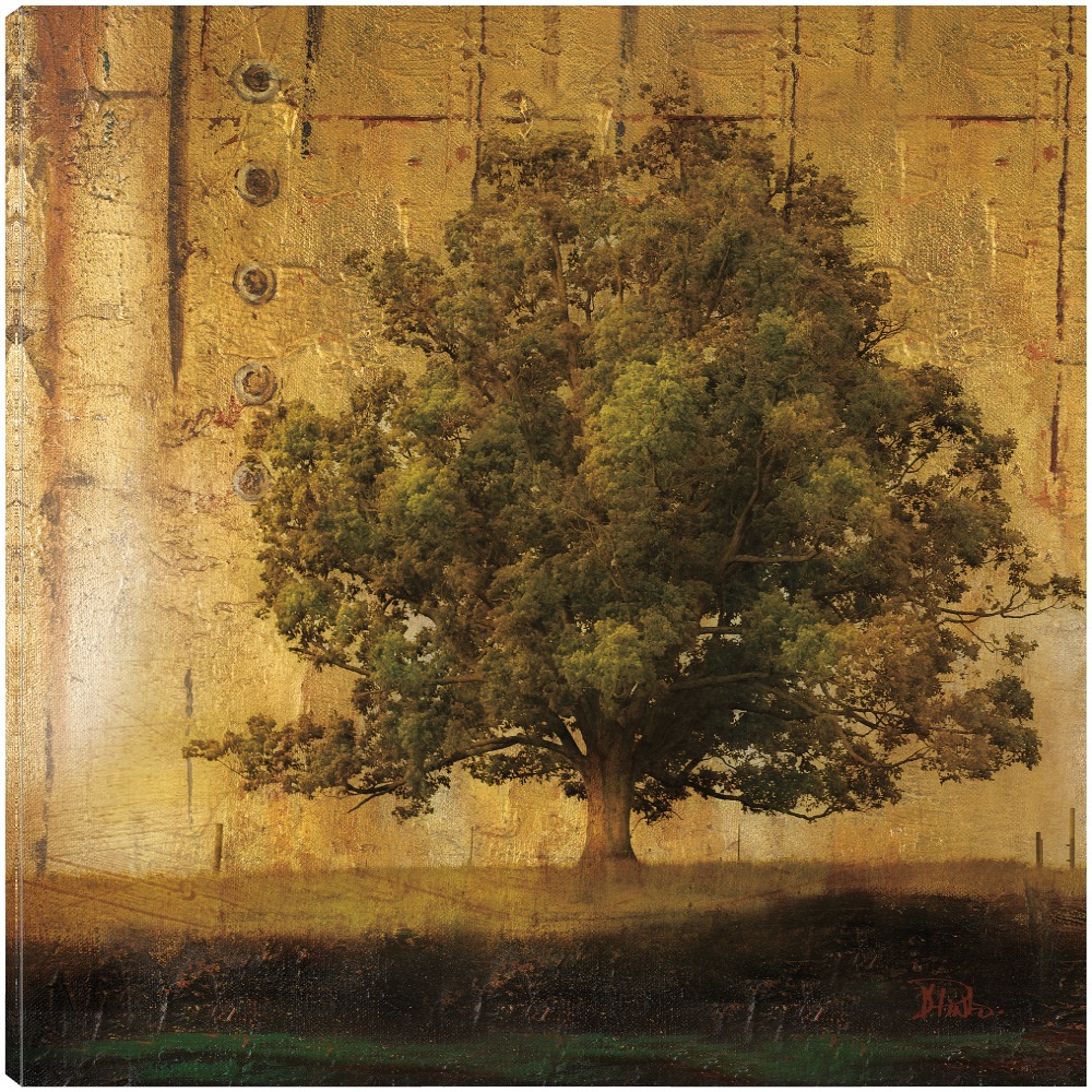 Cuadro decorativo - Canvas - Árbol envejecido I de Patricia Pinto ...