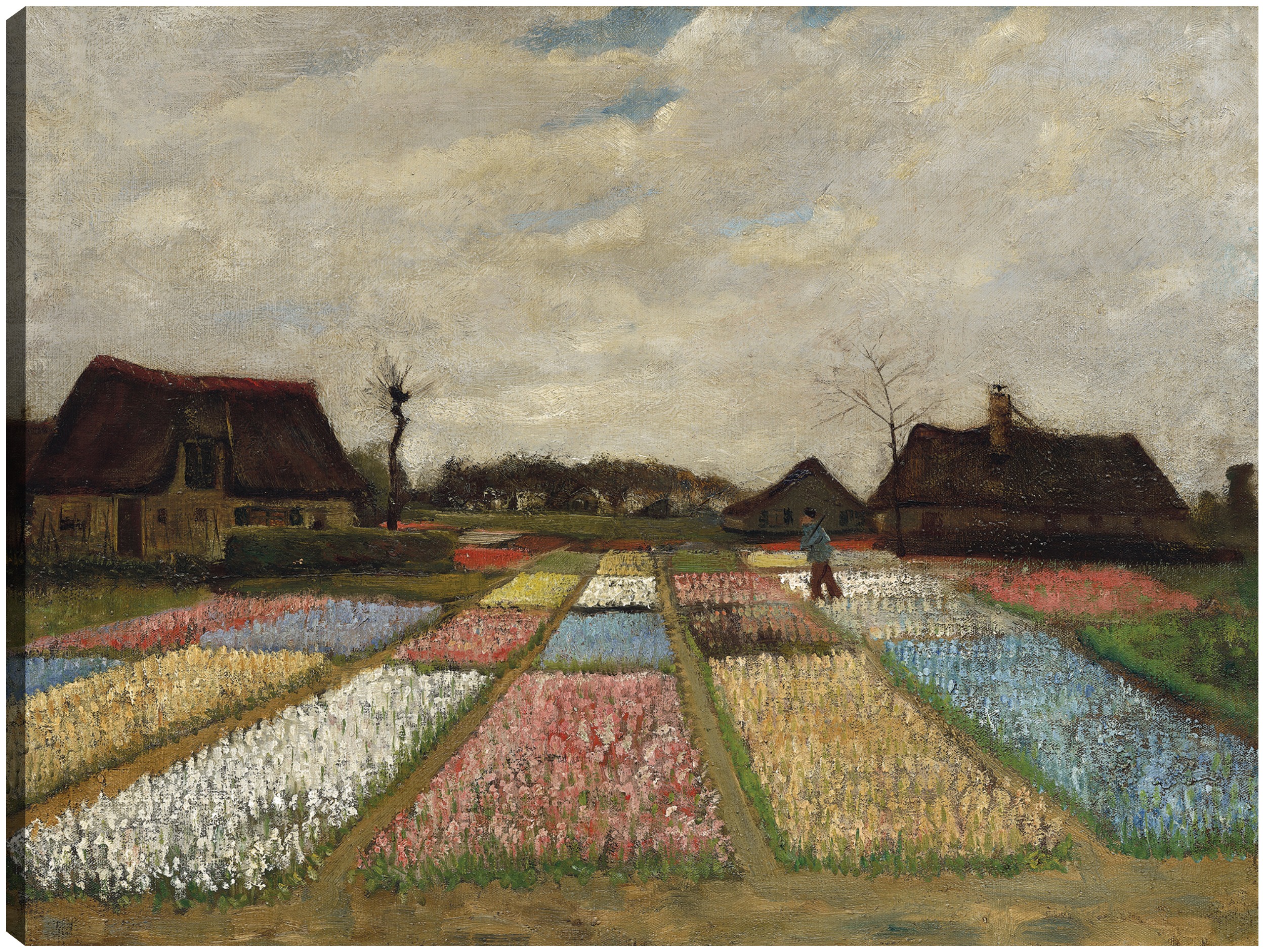 Cuadro decorativo - Canvas - Macizos de flores en Holanda (c. 1883) de ...