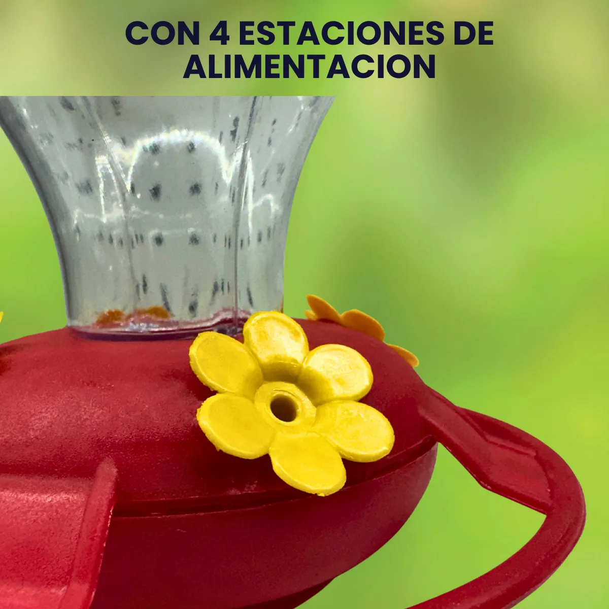 Bebedero Colibri 500 Ml Alimentador Colibries Colgante Color ...