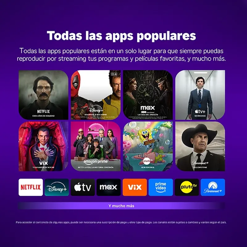 Dispositivo de Streaming Roku HD con Control Remoto por Voz Color Negro